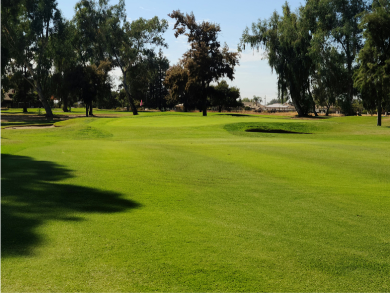 Memberships – My Store